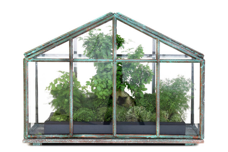 5x mooie plantenkas voor in huis - studio1967