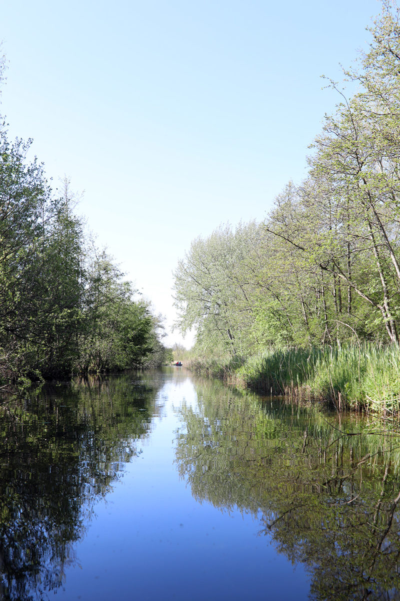 Logeren bij Zwier in Vinkeveen - studio1967